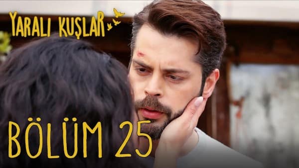 Ranjene ptice 25. i 26. epizoda!