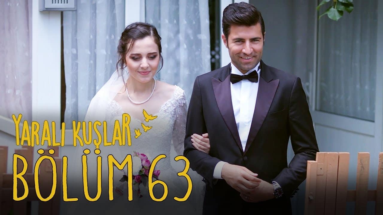 Ranjene ptice od 61. do 63. epizode!