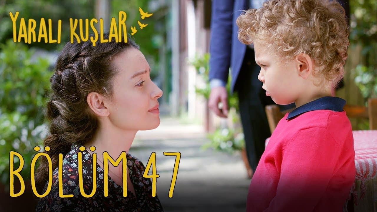 Ranjene ptice od 45. do 47. epizode!