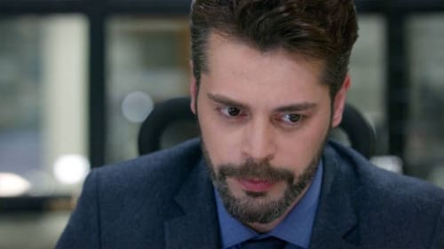 Ranjene ptice – od 123. do 126. epizode