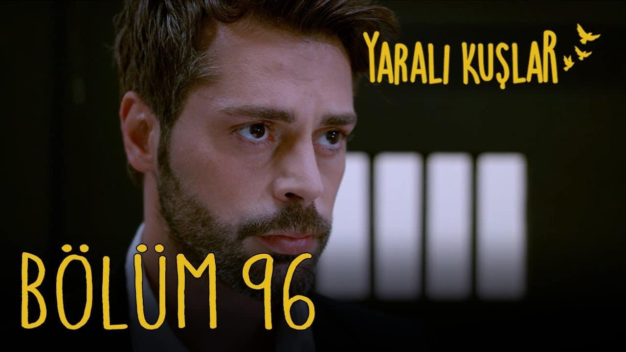 Ranjene ptice od 94. do 96. epizode!