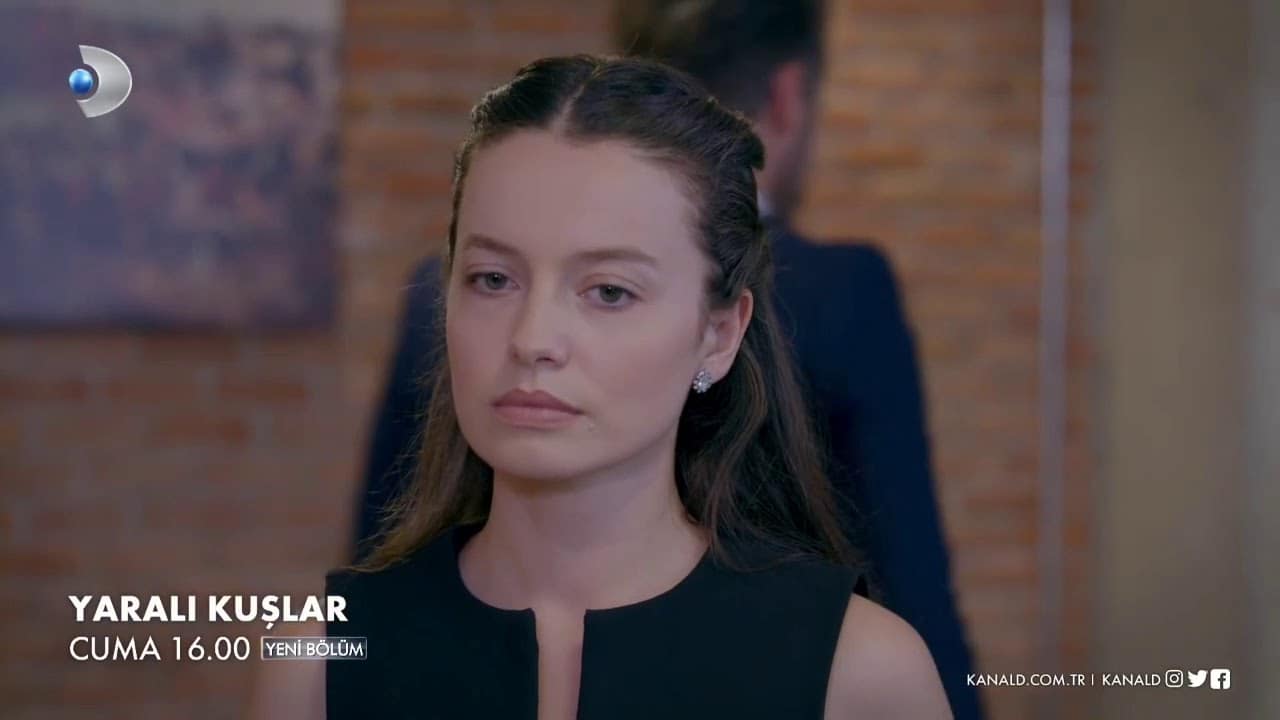 Ranjene ptice 169. i 170. epizoda!