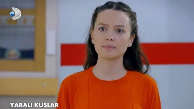 Ranjene ptice od 147. do 149. epizode!